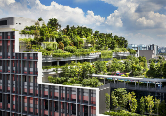 Building a greener future: Sustainable practices in construction